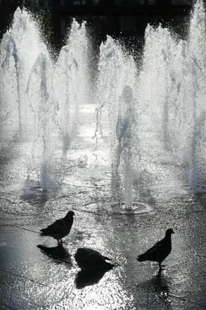 250 Hotpix Stock Pictures, Editorial Images and Stock Photos | Shutterstock