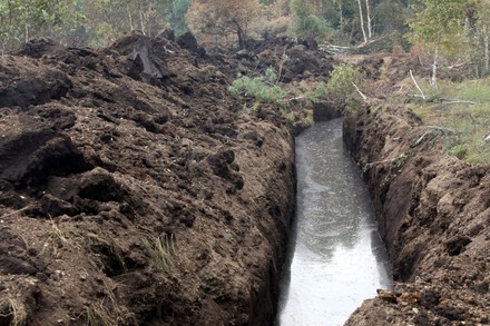 Aftermath Peat Bog Fire Forest Belt Editorial Stock Photo - Stock Image ...
