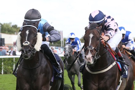 Temple Bruer 13 Ridden By Taylor Editorial Stock Photo - Stock Image ...