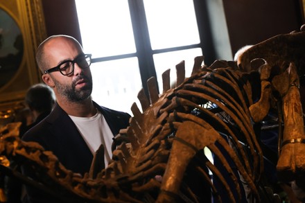 Italian Paleontologist Iacopo Briano Speaks Press Editorial Stock Photo ...