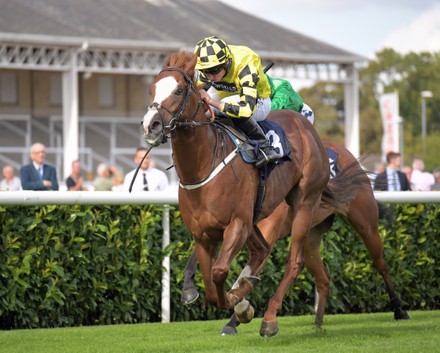 41 Scarborough stakes Stock Pictures, Editorial Images and Stock Photos ...