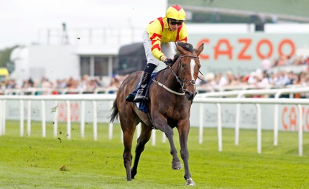 Bonny Angel John Fahy Wins British Editorial Stock Photo - Stock Image ...