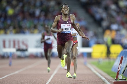 Werkuha Getachew Ethiopia On Her Way Editorial Stock Photo - Stock ...