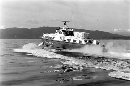 People Riding Flying Fish Hydrofoil Boat Editorial Stock Photo - Stock ...