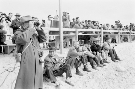 People Working On Project Gnome Carlsbad Editorial Stock Photo - Stock ...