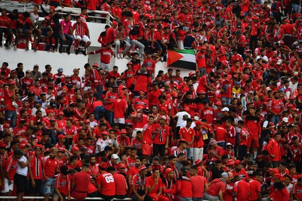 Wydad Supporters Cheer On Their Team Editorial Stock Photo - Stock ...