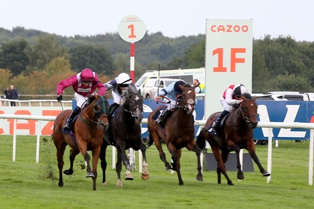 Atrium 11 Ridden By William Buick Editorial Stock Photo - Stock Image ...