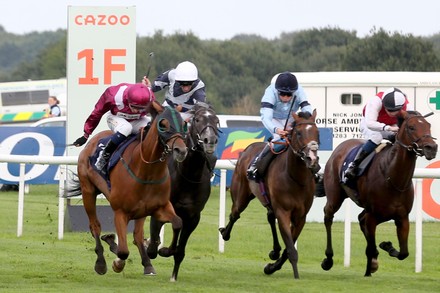 4,000 Doncaster racecourse Stock Pictures, Editorial Images and Stock ...