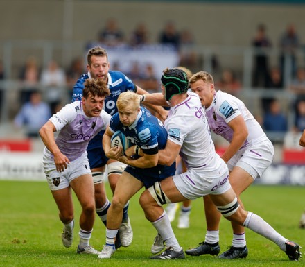 Aaron Reed Sale Sharks Brought Down Editorial Stock Photo - Stock Image ...