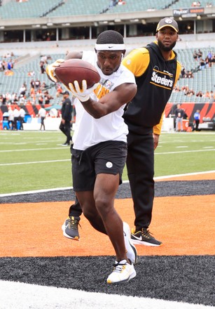 Steven Sims 82 Pittsburgh Steelers Working Editorial Stock Photo ...
