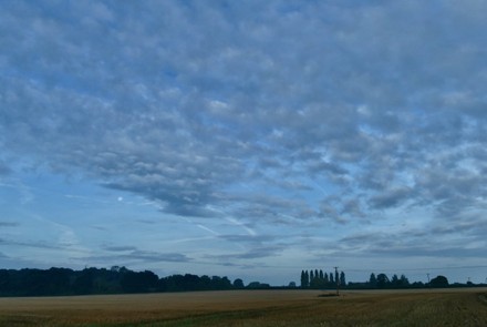 Hazy Misty Start Day Countryside Editorial Stock Photo - Stock Image ...