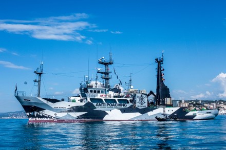 Sea Shepherd My Sam Simon On Editorial Stock Photo - Stock Image ...