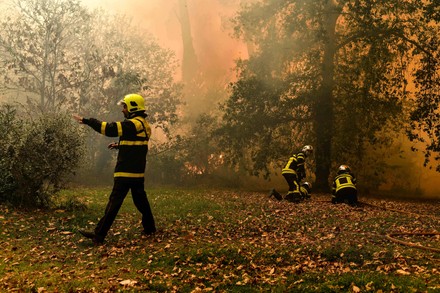 Firefighters Work Ready Protect Isolated House Editorial Stock Photo ...