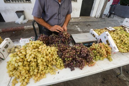 Palestinian Vendors Sell Grapes Grape Market Editorial Stock Photo ...