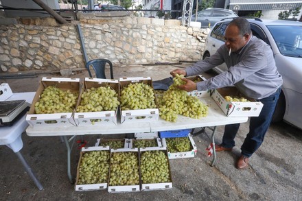 Palestinian Vendors Sell Grapes Grape Market Editorial Stock Photo ...