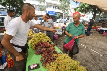 Palestinian Vendors Sell Grapes Grape Market Editorial Stock Photo ...