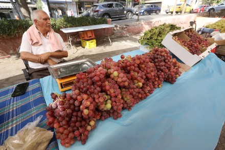 Palestinian Vendors Sell Grapes Grape Market Editorial Stock Photo ...