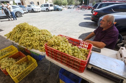 Palestinian Vendors Sell Grapes Grape Market Editorial Stock Photo ...