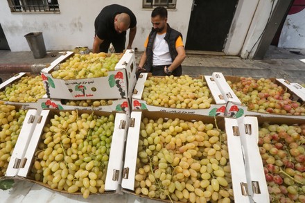 Palestinian Vendors Sell Grapes Grape Market Editorial Stock Photo ...