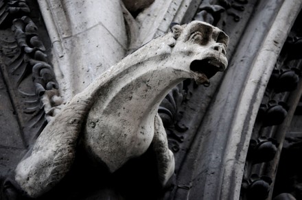 Illustration Gargoyle Gargouille Church Cathedral Paris Editorial Stock ...