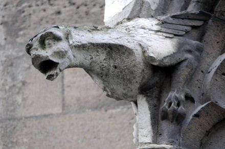 Illustration Gargoyle Gargouille Church Cathedral Paris Editorial Stock ...