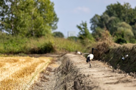 500 Non rural area Stock Pictures, Editorial Images and Stock Photos ...
