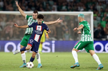 Vitinha Psg Action During Uefa Champions Editorial Stock Photo - Stock ...