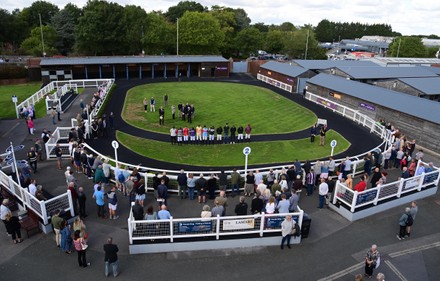 Newton Abbot Races, Horse Racing, Newton Abbot Racecourse ...