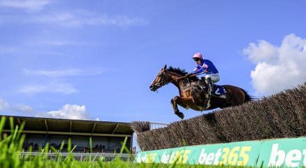 44 Ellis collier Stock Pictures, Editorial Images and Stock Photos ...