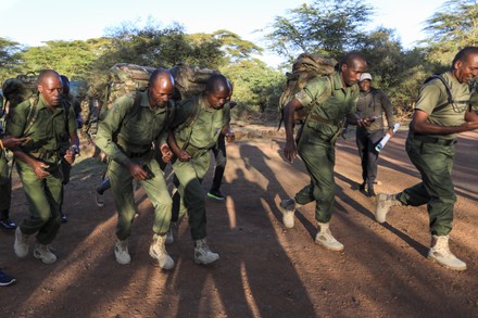 Kenyan Wildlife Rangers Lewa Conservancy Participate Editorial Stock ...