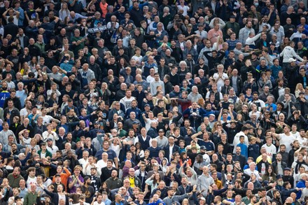 Tottenham Hotspur Fc Supporters Celebrating Goal Editorial Stock Photo ...