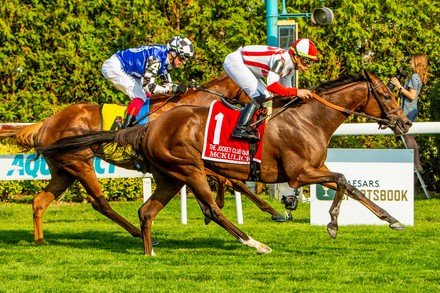 30,000 Horse derby Stock Pictures, Editorial Images and Stock Photos ...
