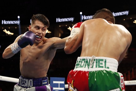 Mexican Boxer Kevin Montiel Knockedout By Editorial Stock Photo - Stock ...