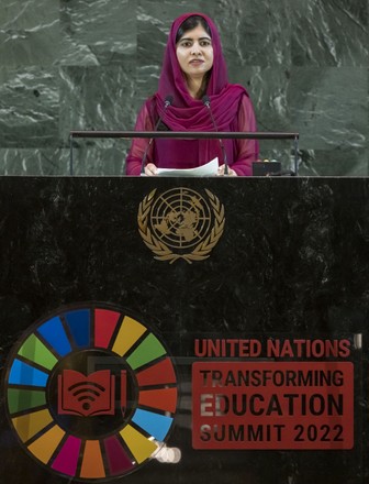 3,000 United nations education Stock Pictures, Editorial Images and ...