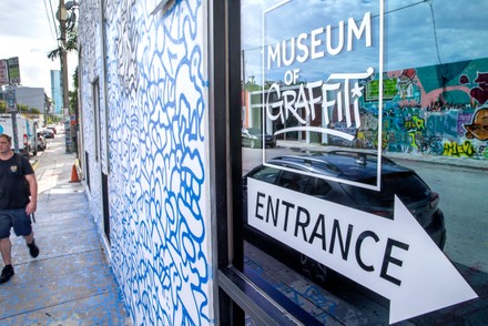 Graffiti Artist Diana Ordonez Known Ledania Editorial Stock Photo ...