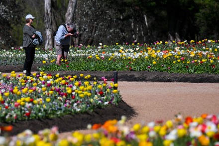 The 2022 Floriade flower show in Canberra, Australia - 20 Sep 2022 ...