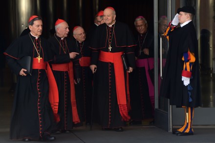 Cardinals Arrive Special Consistory Synod Hall Editorial Stock Photo ...