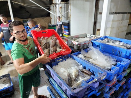 2,000 Fish bank Stock Pictures, Editorial Images and Stock Photos ...
