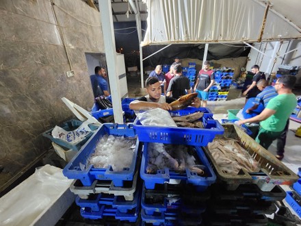 2,000 Fish bank Stock Pictures, Editorial Images and Stock Photos ...