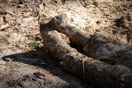 500 Burial detail Stock Pictures, Editorial Images and Stock Photos ...