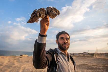 Daily life in Gaza, Palestine - 20 Sept 2022 Stock Pictures, Editorial ...