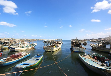 1,000 Palestinian fishing boats Stock Pictures, Editorial Images and ...