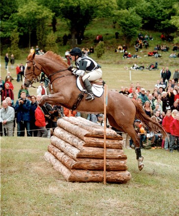 2 Hästhinder Stock Pictures, Editorial Images and Stock Photos ...