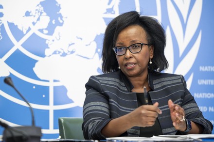 __COUNT__ International Commission of Human Rights Experts on Ethiopia ...