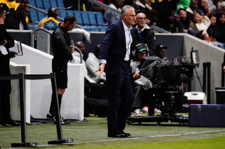 Brazil Head Coach Tite Editorial Stock Photo - Stock Image | Shutterstock