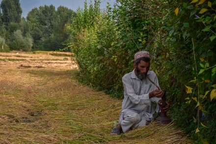 Kashmiri Farmer Smokes Traditional Hookah Locally Editorial Stock Photo ...