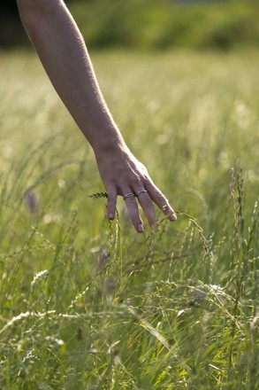 74 Closeness to nature Stock Pictures, Editorial Images and Stock ...