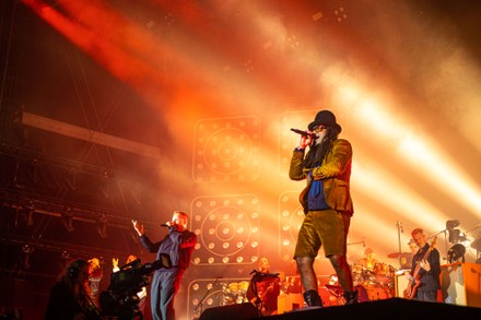 Seeed Editorial Stock Photo - Stock Image | Shutterstock