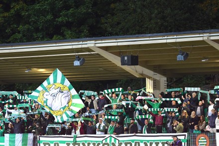 250 Hammarby fans Stock Pictures, Editorial Images and Stock Photos ...