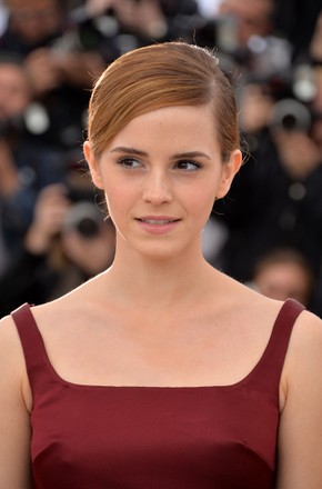 Emma Watson Posing Photocall Bling Ring Editorial Stock Photo - Stock ...